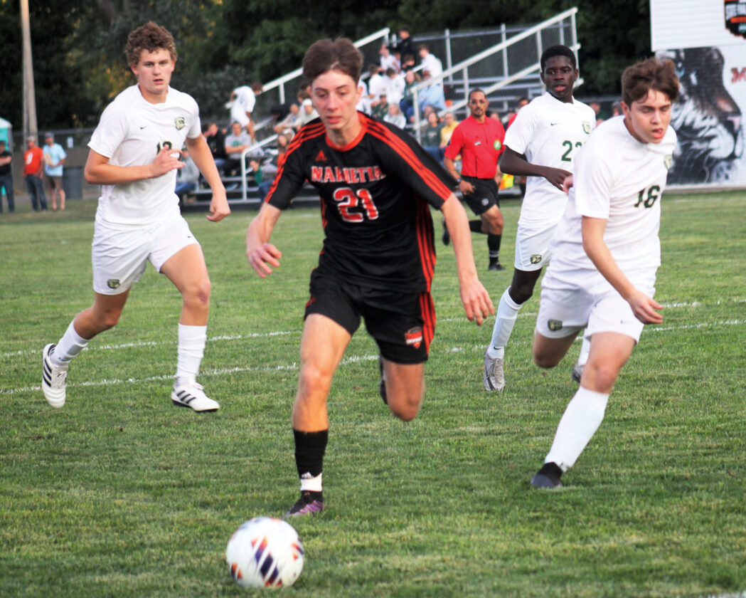 Todd Morris collects 200th win as Tigers rally past Bulldogs | News ...